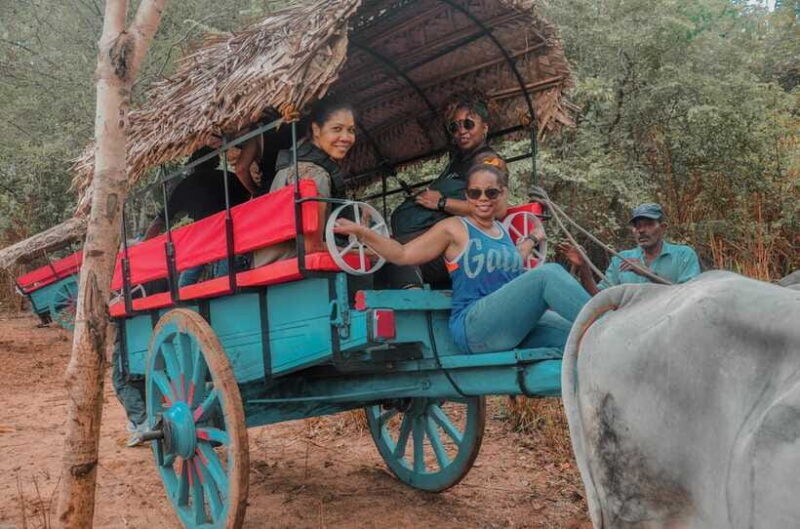 Sigiriya Village Tour and Lunch - Exploring the Village: Leisure and Reflection