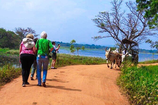 Sigiriya Village Tour from Habarana - A Detailed Look at the Tour Experience
