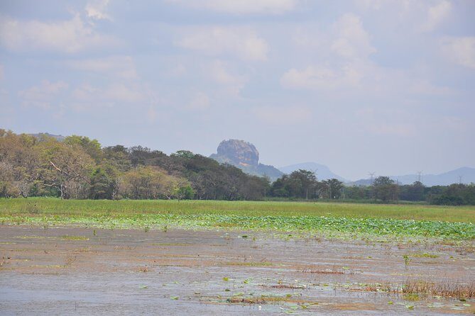 Sigiriya Village Tour from Negombo - The Sum Up: Who Is This Tour Best For?