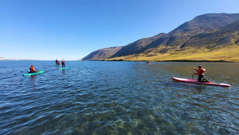 Siglufjörður: Private Guided SUP Tour - A Closer Look at the Siglufjörður SUP Experience