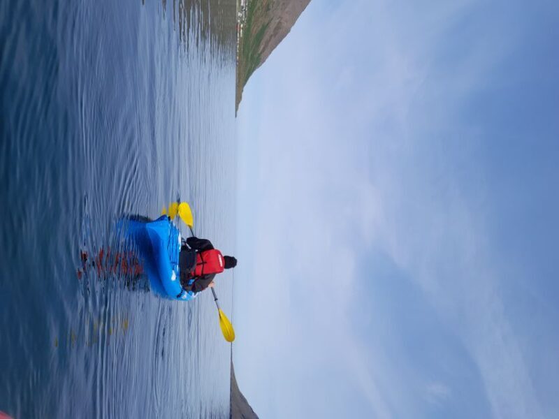 Siglufjörður / Siglufjordur: Guided kayak tour. - Key Points