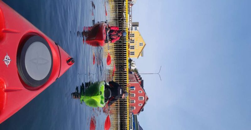 Siglufjörður / Siglufjordur: Guided kayak tour. - Authentic Local Insights