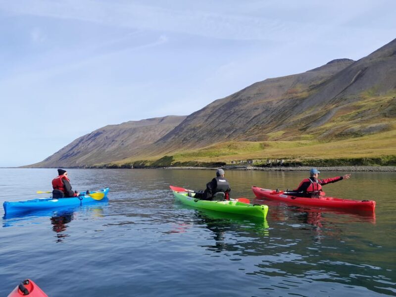 Siglufjörður / Siglufjordur: Guided kayak tour. - The Value Proposition