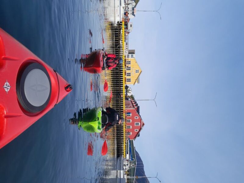 Siglufjörður / Siglufjordur: Guided kayak tour. - Practical Details for Planning Your Trip
