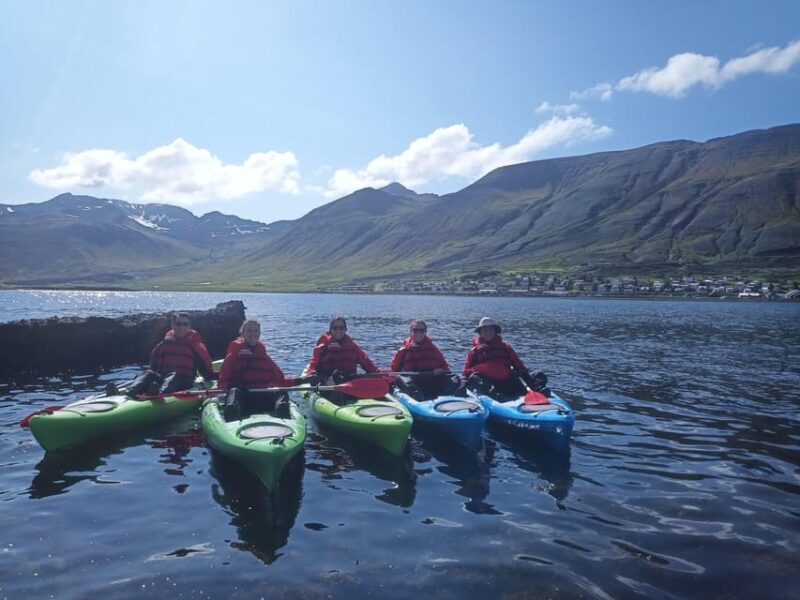 Siglufjörður / Siglufjordur: Guided kayak tour. - Authenticity and Experience
