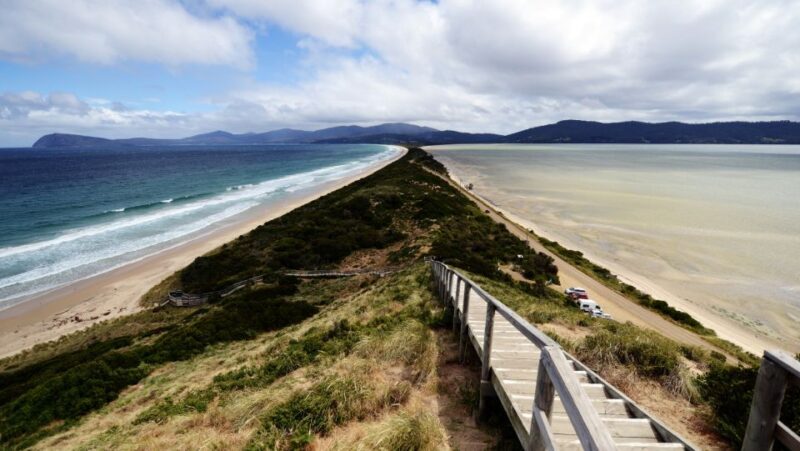 Signature Bruny Island Tour - Hobart & SE Tasmania - Final Thoughts: Why Choose This Tour?