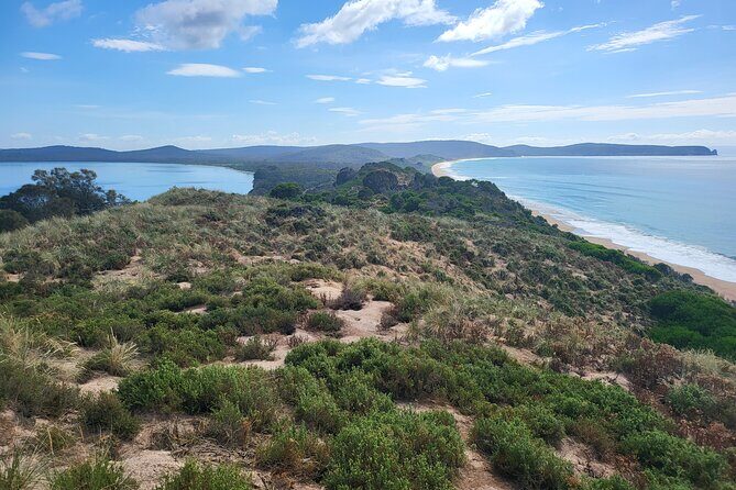 Signature Bruny Island Tour - Hobart & SE Tasmania - A Deep Dive into the Signature Bruny Island Tour