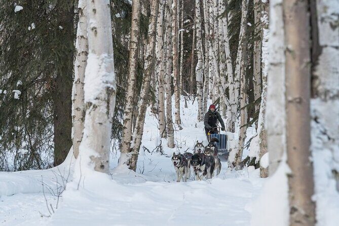 Signature Ridge Top Mush - An Authentic Slice of Alaskan Mushing