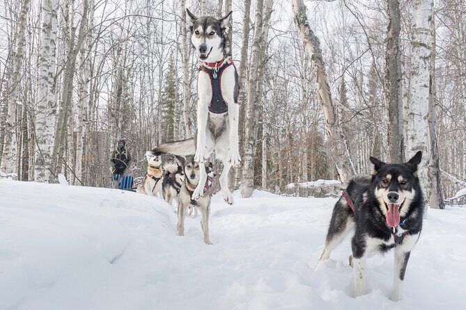 Signature Ridge Top Mush - What You Might Love