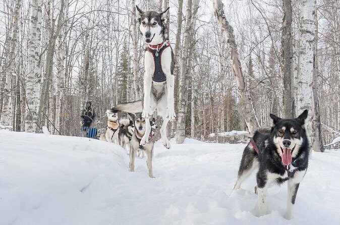 Signature Ridge Top Mush - How It Compares to Other Tours