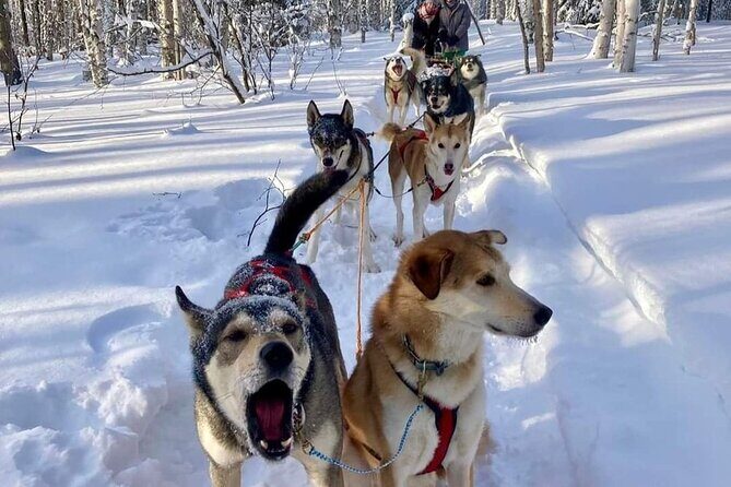 Signature Ridge Top Mush - FAQ