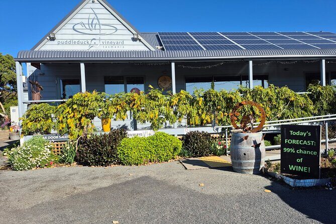 Signature Saturday Wine Tour - The Vineyard Visits: A Mix of Excellence and Atmosphere