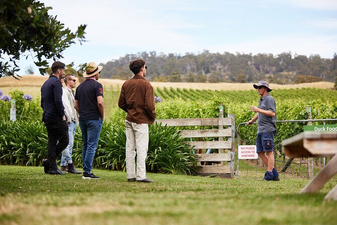 Signature Saturday Wine Tour - Timing, Transport, and Group Dynamics