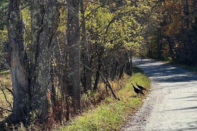 Signature Vermont Wayfinders Private Guided Tour - FAQ