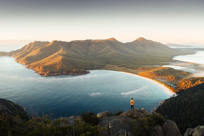 Signature Wine Tour - Hobart & SE Tasmania - Final Vineyard Visits & Scenic Vines