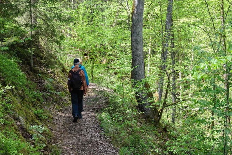 Sigulda Hiking Tour: A Day in the Switzerland of Latvia - An In-Depth Look at the Sigulda Hiking Experience