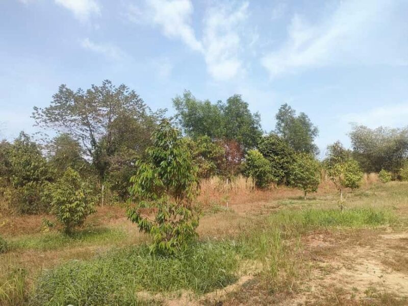 Sihanoukville: Koh Kjorng Village (4 hours tour) - Who Will Love This Tour