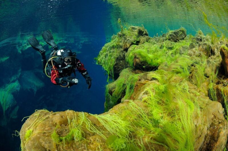 Silfra: Diving Between Tectonic Plates - Who Should Consider This Tour?