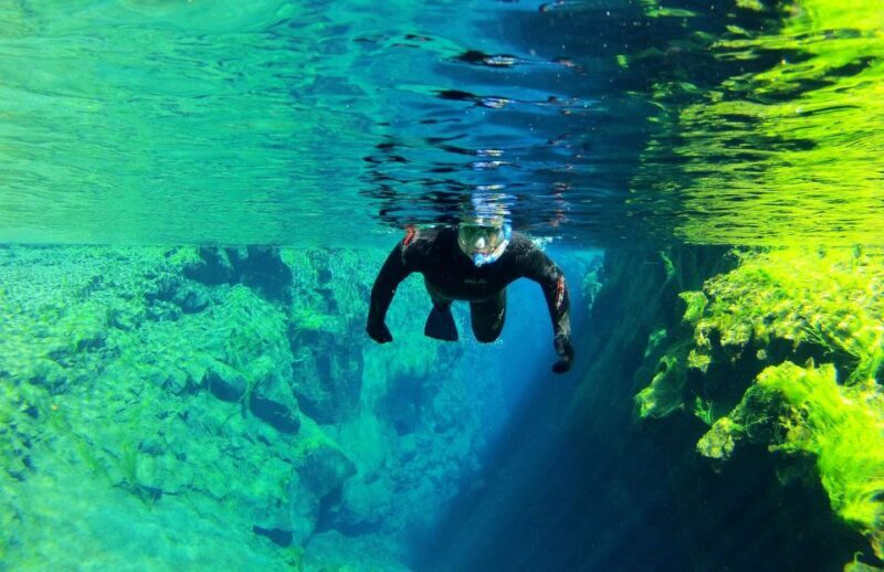Silfra: Half-Day Snorkeling Day Trip with Underwater Photos - Who Will Love This Tour?