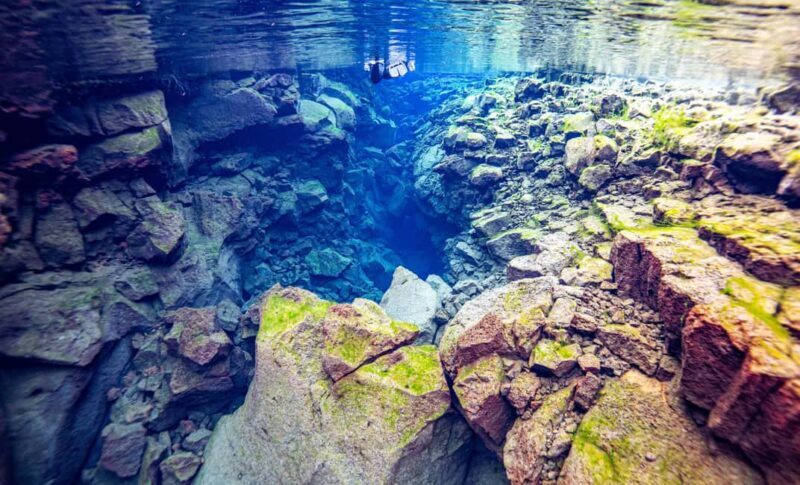 Silfra: Snorkel Between Continents - Small Group, Personalized Attention