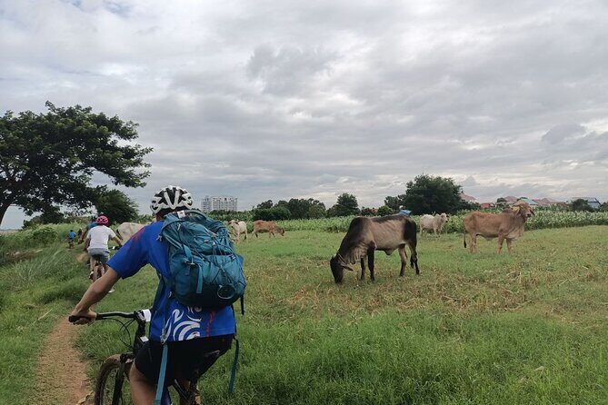 Silk Island at Twilight Cycle Encounter - The Itinerary: From Phnom Penh to Silk Island and Back