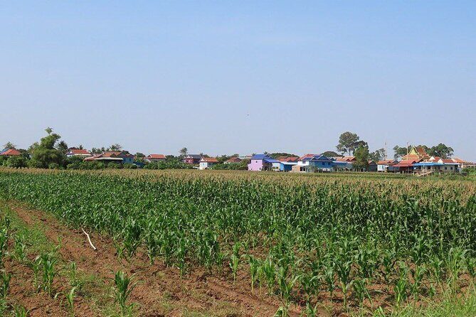 Silk Island at Twilight Cycle Encounter - Final Thoughts