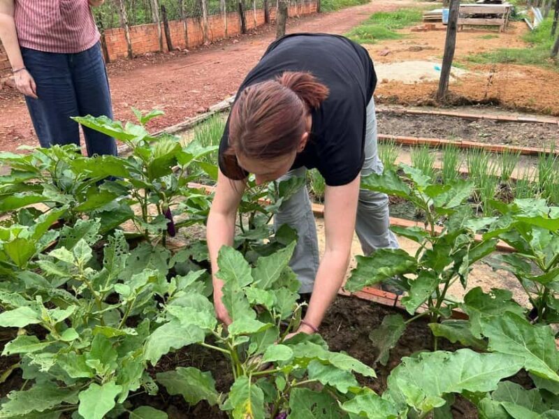 Silk Island Cooking Class & Culinary Vespa Adventure - Key Points