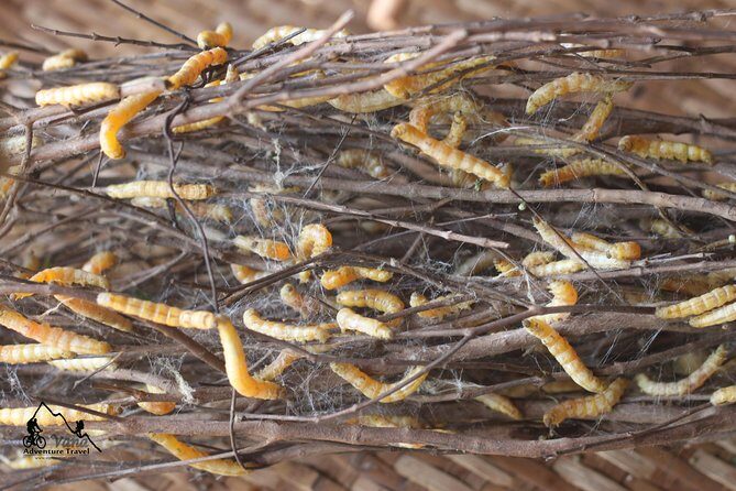 Silk Island & countryside of Phnom Penh by Tuk Tuk - Frequently Asked Questions