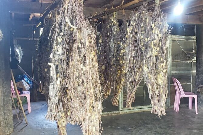 Silk Mekong Island Haft Day Tour - Key Points