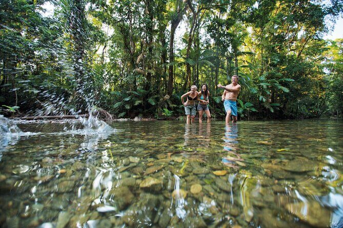 Silky Oaks to Cairns ONE WAY Private Transfer 6 pax - Final Thoughts: Is It Worth It?