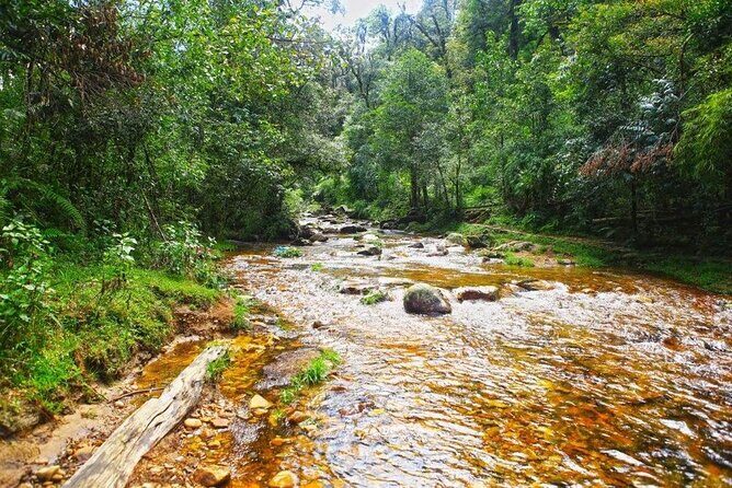Silver and Love Waterfall, Lonely Tree Private Tour By Car - Final Thoughts: Who Should Consider This Tour?