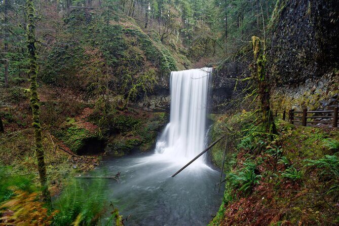Silver Falls Private Hike Tour - What Makes the Silver Falls Private Hike Tour Stand Out