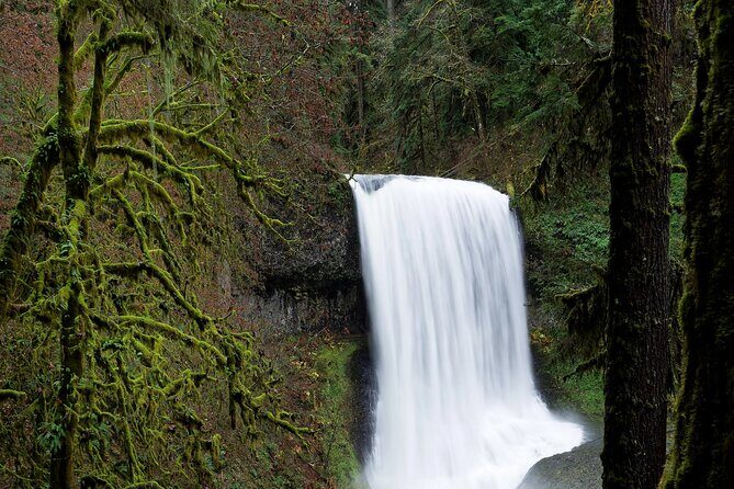 Silver Falls Private Hike Tour - A Detailed Breakdown of the Itinerary