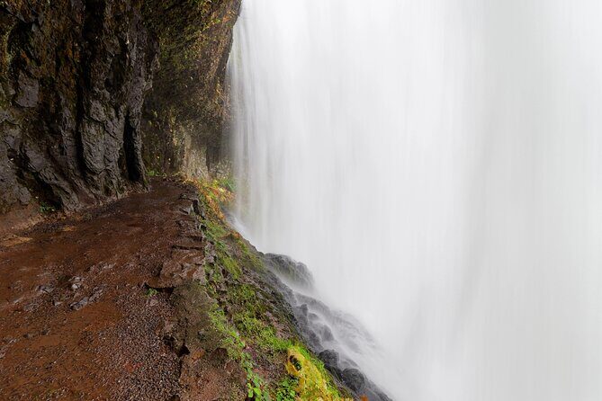 Silver Falls Private Hike Tour - Who Is This Tour Best For?