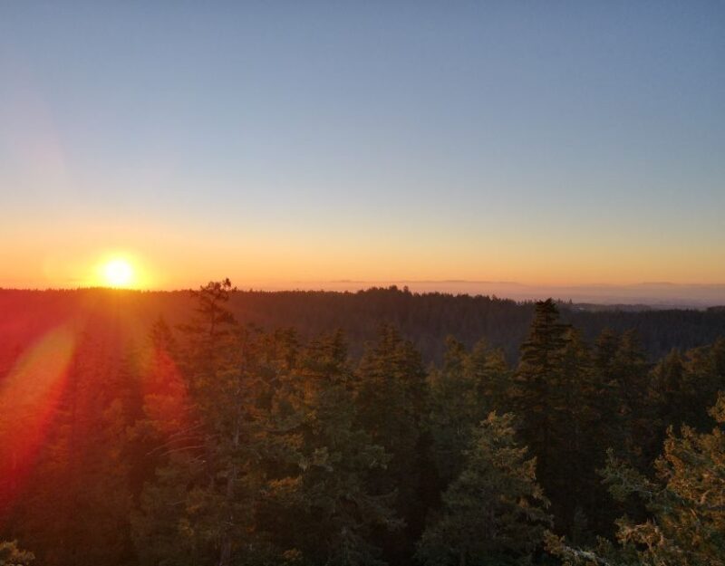 Silver Falls State Park: Tree Climbing Sunset Tour - What’s Included and What’s Not