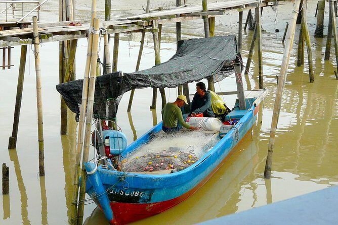 Silver Leaf Monkeys and Firefly Tour with Boat Ride and Seafood Dinner - Key Points