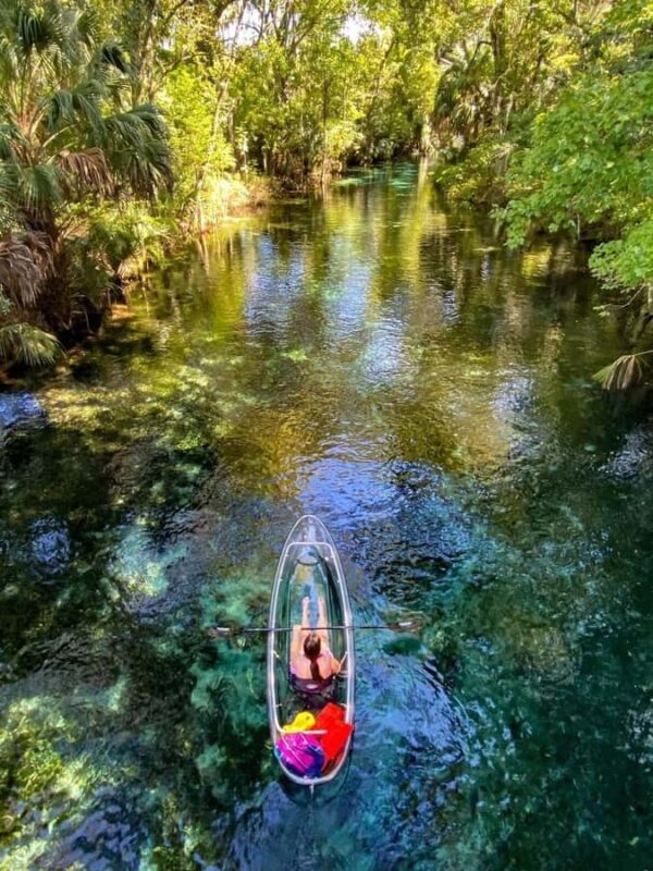 Silver Springs: Clear Kayak Eco-Tour with Manatee Viewing - The Experience of the Clear Kayaks