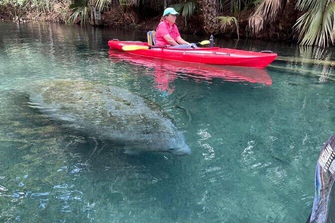 Silver Springs Clear Kayak Manatee & Monkey Adventures - Frequently Asked Questions