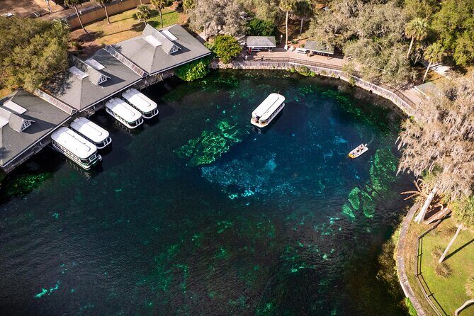 Silver Springs: Clear Kayak Wildlife Adventure - Who Should Book This Tour?