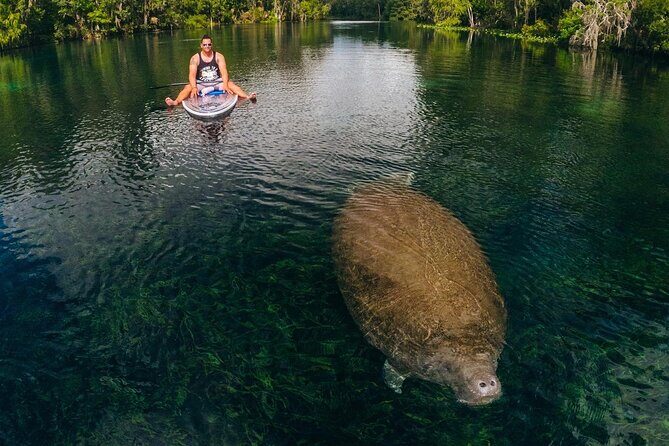 Silver Springs: Clear Kayak Wildlife Adventure - FAQ