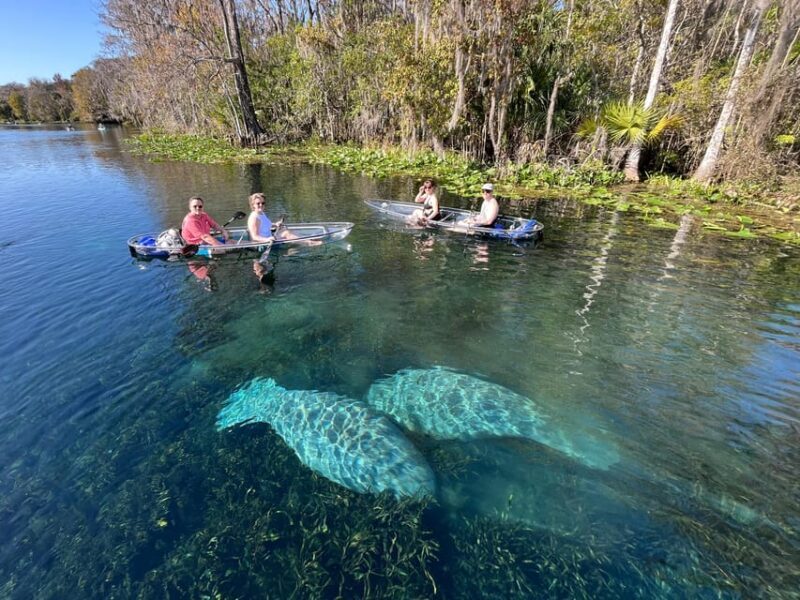 Silver Springs: Clear Kayak Wildlife Tour - An Overview of the Silver Springs Wildlife Kayak Tour