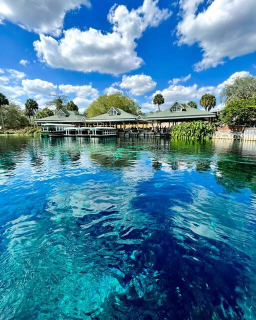 Silver Springs: Clear Kayak Wildlife Tour - What Makes This Tour Special?