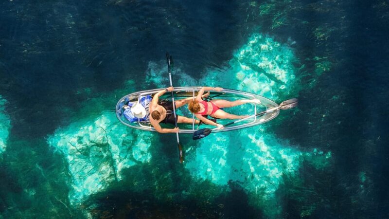 Silver Springs: Clear Kayak Wildlife Tour - Value and Pricing: Is It Worth It?