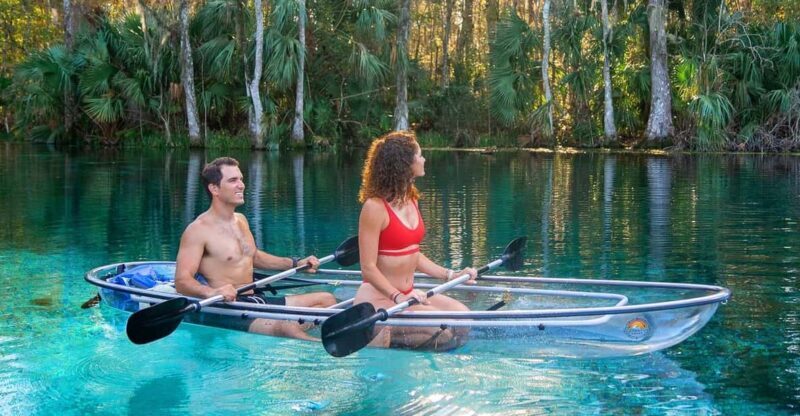 Silver Springs: Clear Kayak Wildlife Tour - Practical Tips for Your Visit