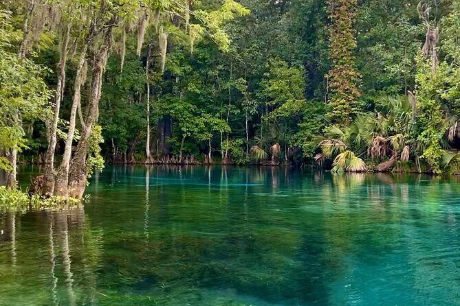 Silver Springs: Clear Kayaking Wildlife Tour - Who Will Love This Tour?