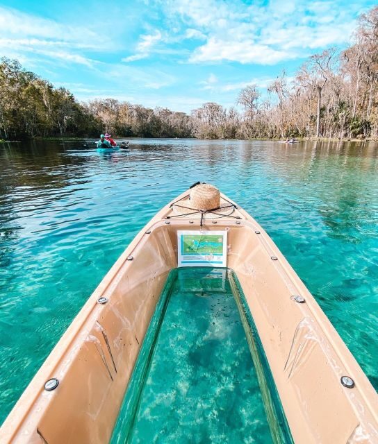 Silver Springs: Glass Bottom Kayak and Wildlife Tour - The Details That Matter