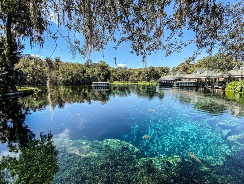 Silver Springs: Glass Bottom Kayak and Wildlife Tour - Reviews Showcasing Authentic Experiences