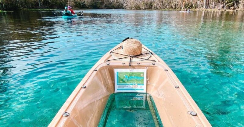 Silver Springs: Glass Bottom Kayak and Wildlife Tour - The Bottom Line: Is it Worth It?