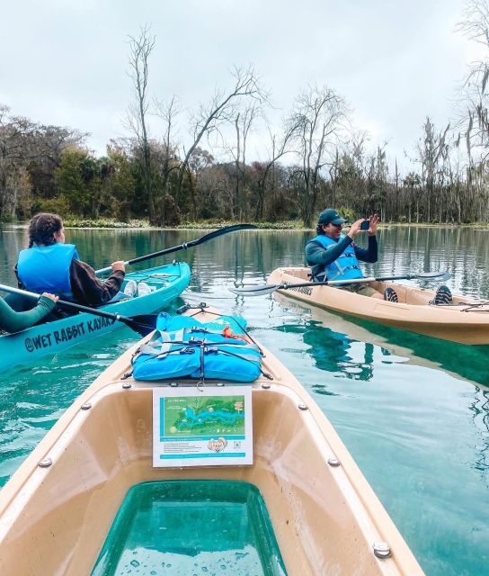 Silver Springs: Glass Bottom Kayak and Wildlife Tour - An Overview of the Experience