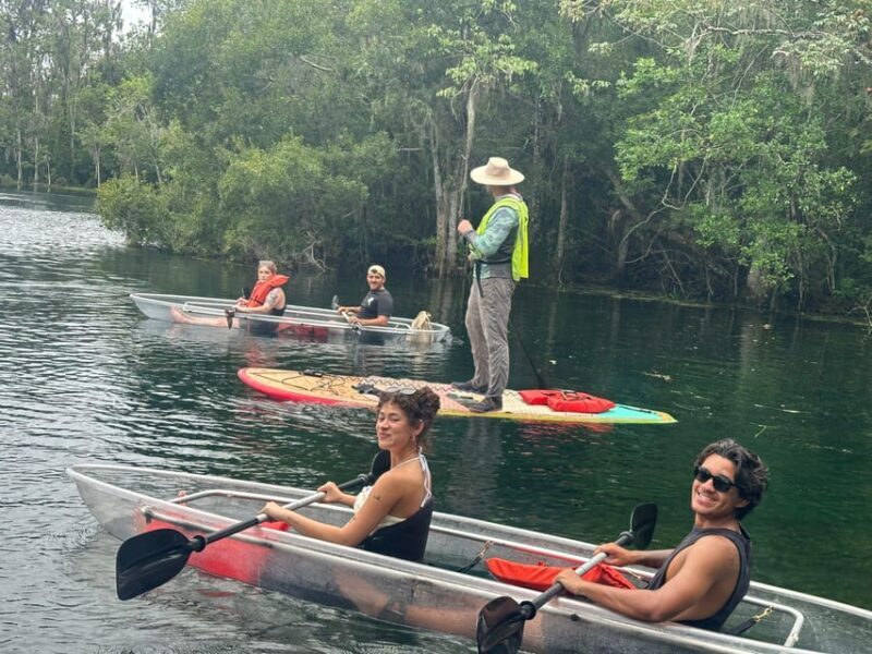 Silver Springs: Guided Clear Kayak or Paddleboard Gator Tour - The Sum Up